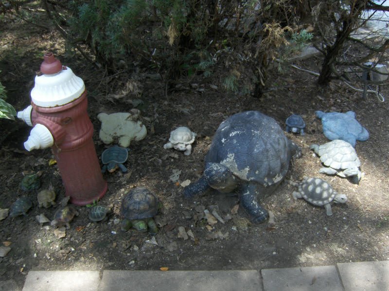 Deana&theChesterfieldZoo - Gallery